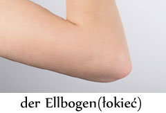 Język niemiecki nauka w sieci - Testy łatwe, średnie, trudne